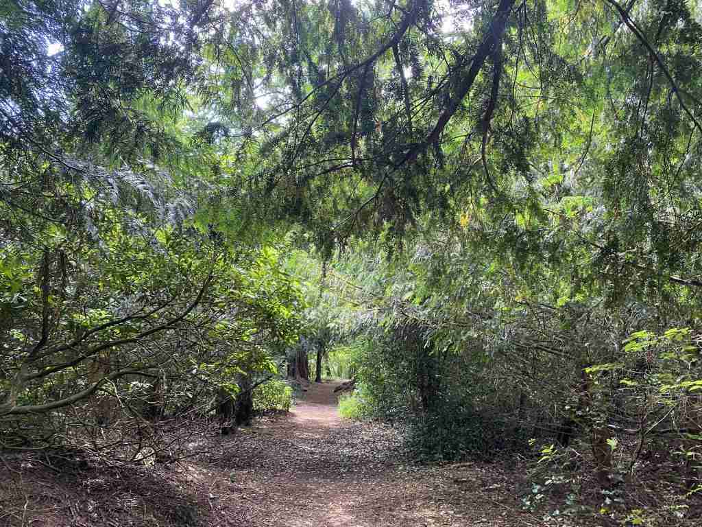 Jarn Mound, Oxford - Natural Wanders