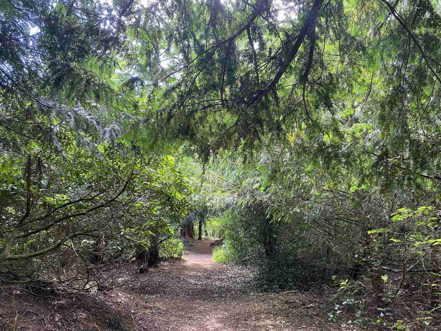 Jarn Mound, Oxford - Natural Wanders
