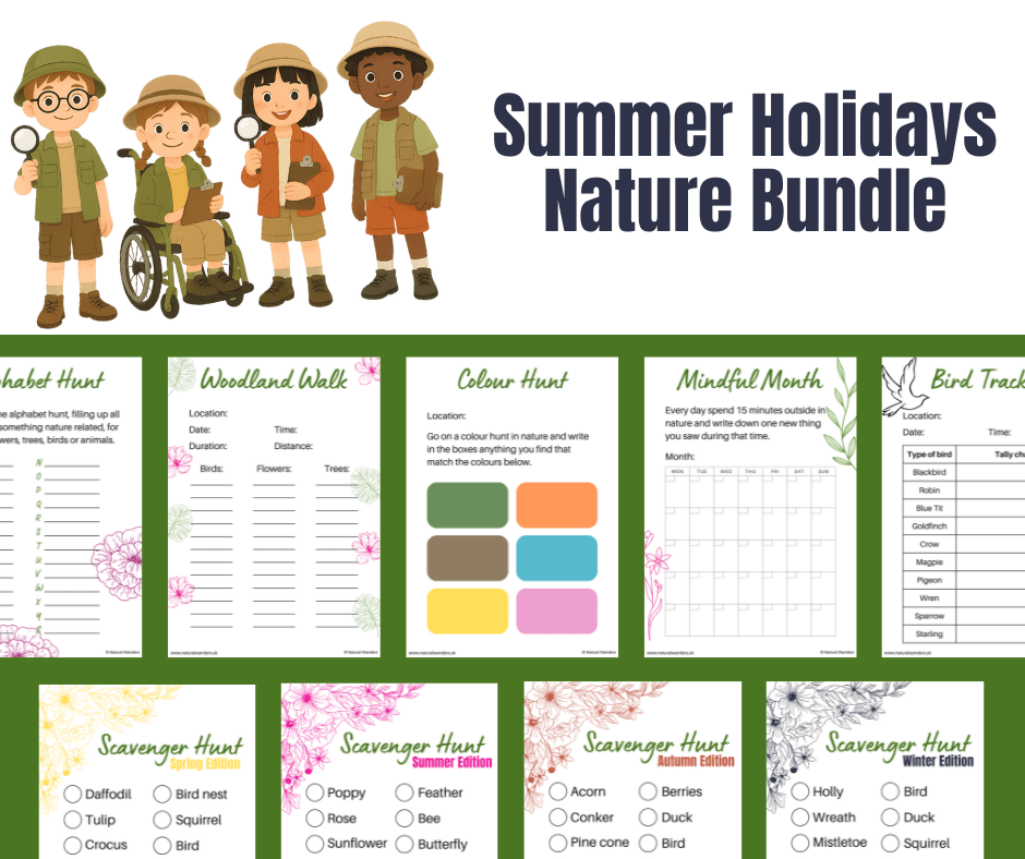 Nature Printable Bundle - Natural Wanders